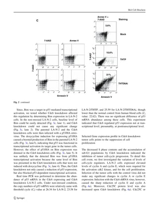 Cdc6 knockdown inhibits human neuroblastoma cell proliferation | PDF