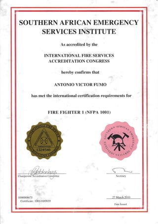 Professional Firefighter | PDF