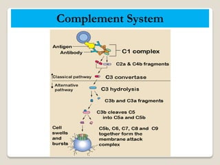 CdC CROSSMATCH(CDCXM) | PDF