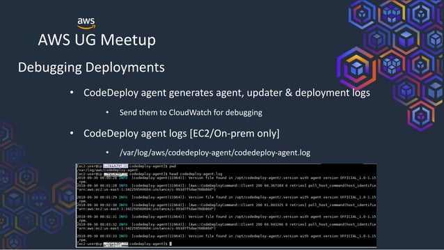 CI CD using AWS Developer Tools Online Workshop | PPT