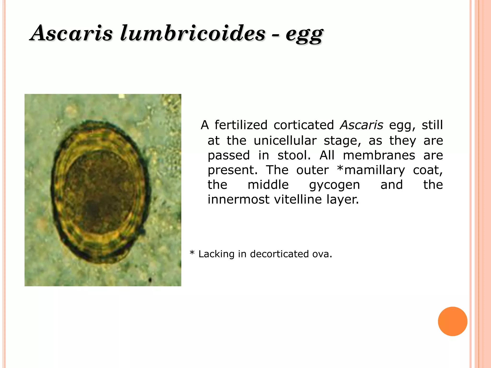 Cdc health and parasitology | PDF