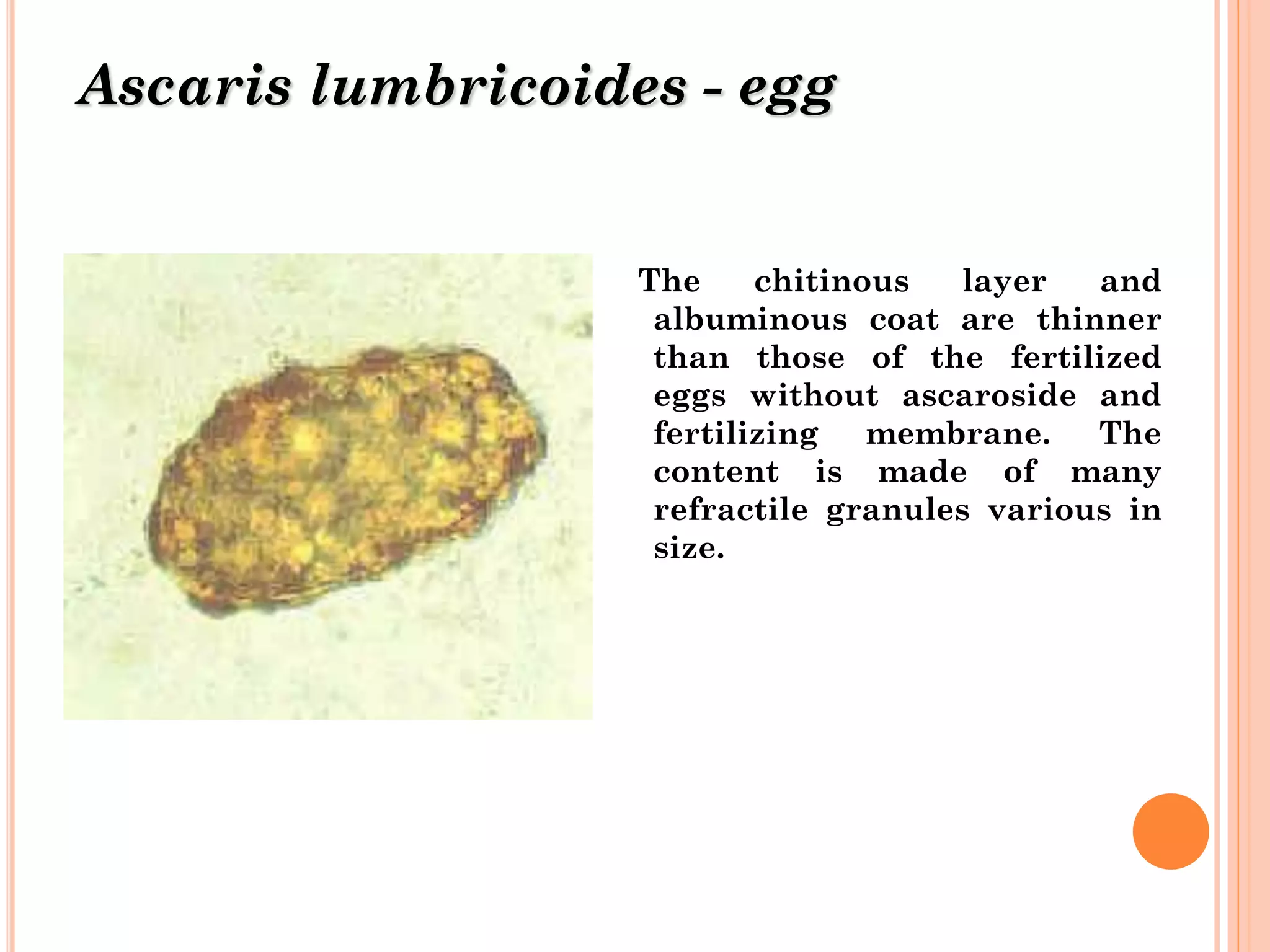 Cdc health and parasitology | PDF