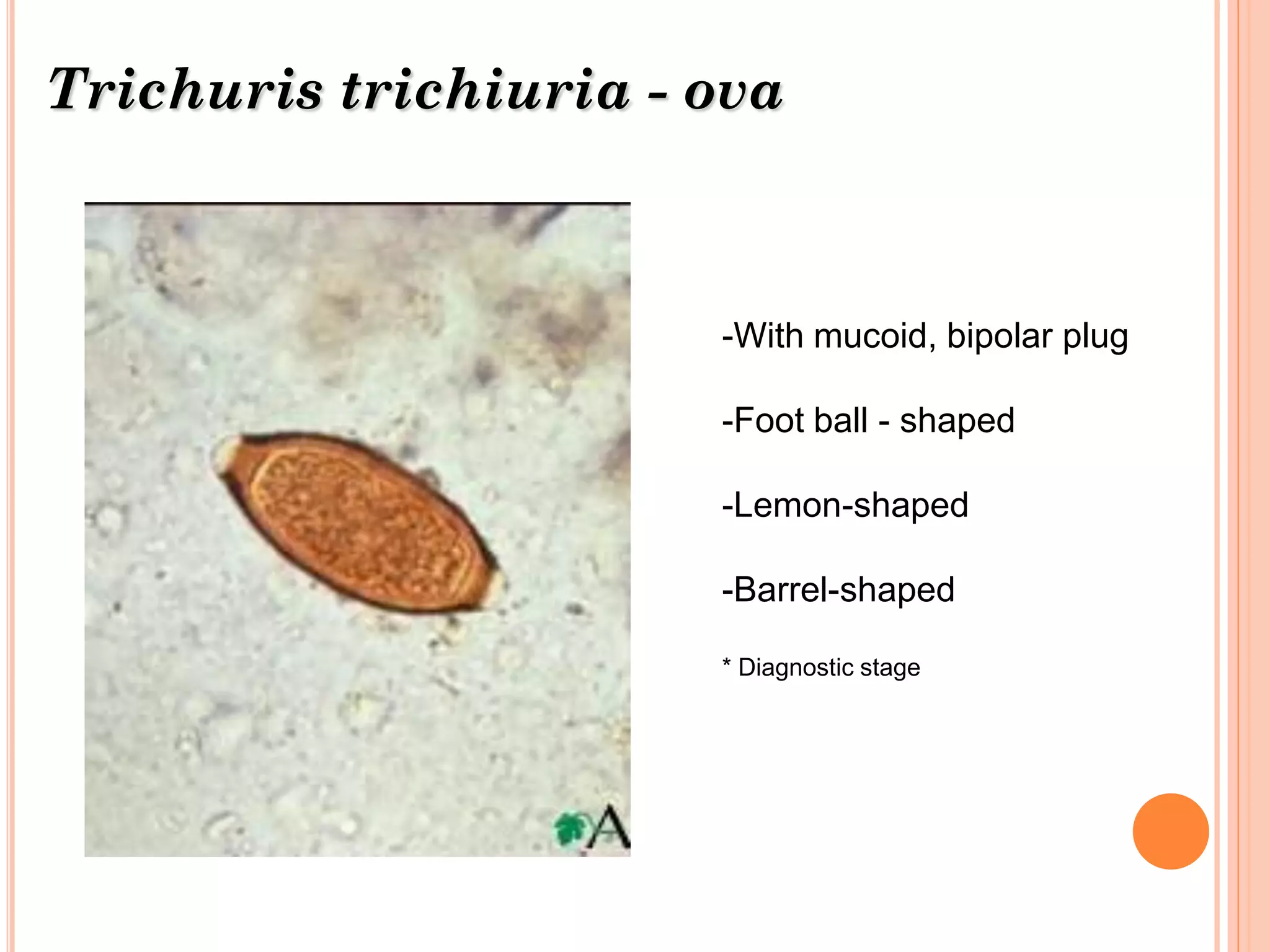 Cdc health and parasitology | PDF