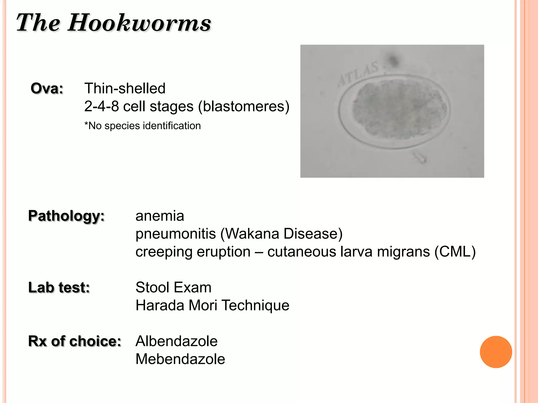 Cdc health and parasitology | PDF