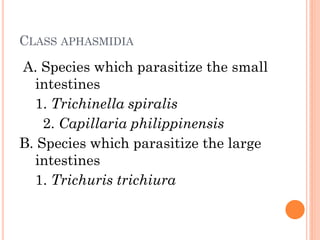 Cdc health and parasitology | PDF