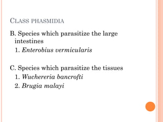 Cdc health and parasitology | PDF