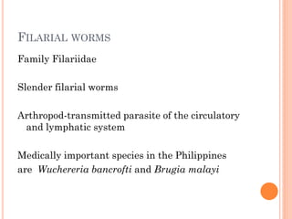 Cdc health and parasitology | PDF