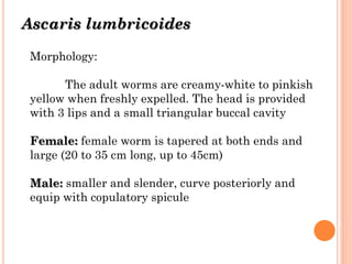 Cdc health and parasitology | PDF