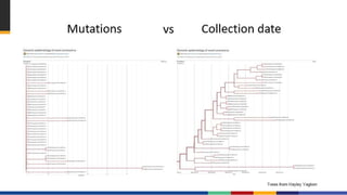 CDC How to read a phylogenetic tree.pdf