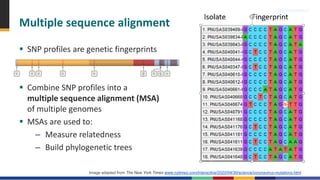 CDC How to read a phylogenetic tree.pdf