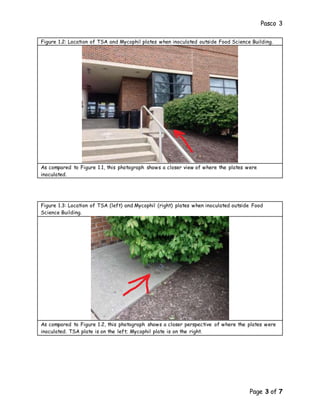 Evaluating the Selectivity of Growth Media as a Function of pH – A ...