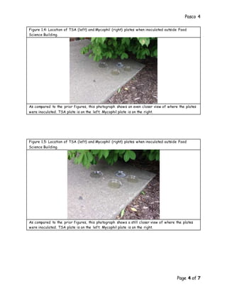 Evaluating the Selectivity of Growth Media as a Function of pH – A ...