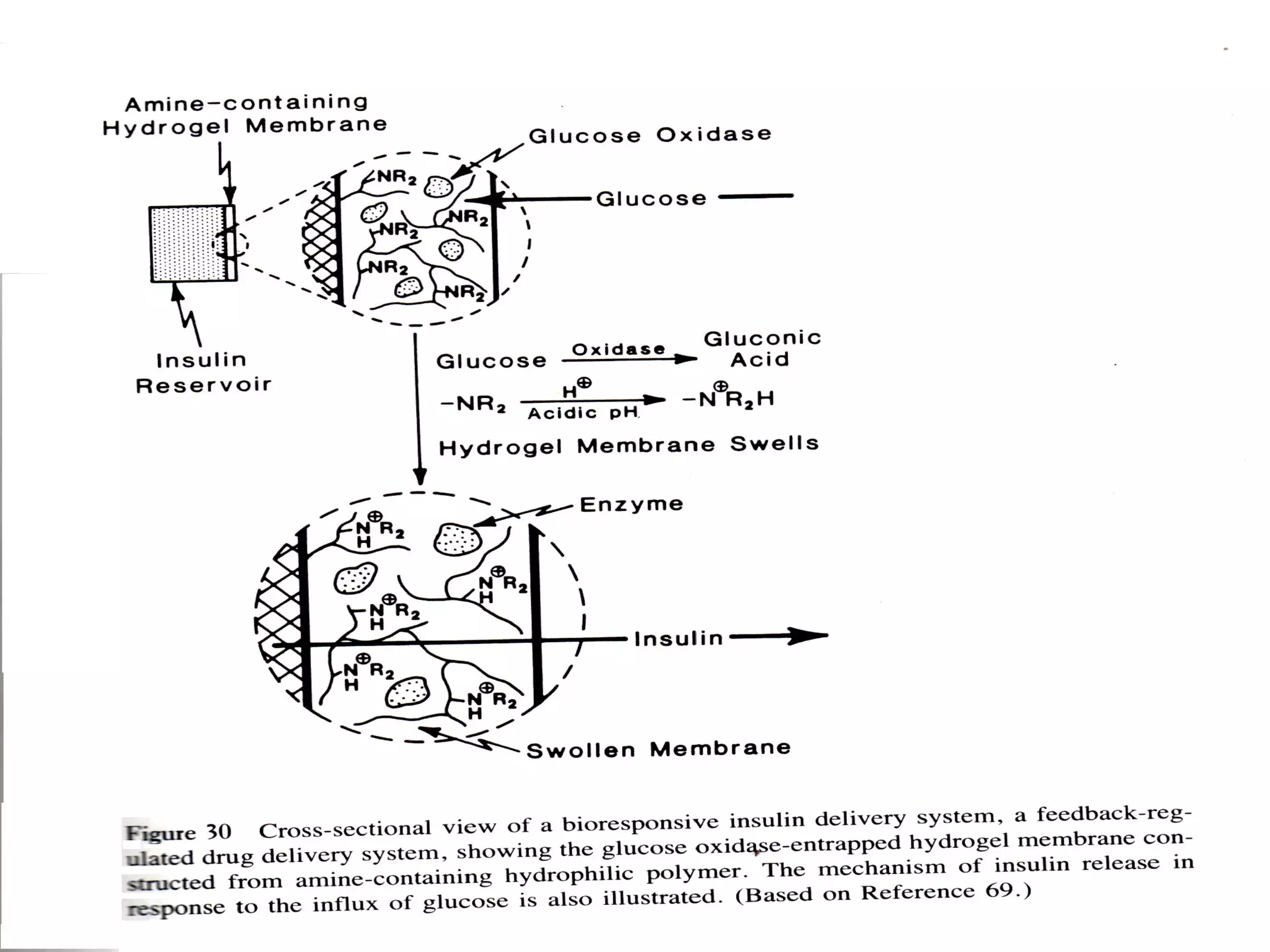 CONTROLLED DRUG DELIVERY SYSTEMS | PPT