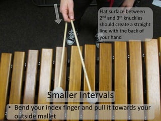 Steven's Grip | PPTX