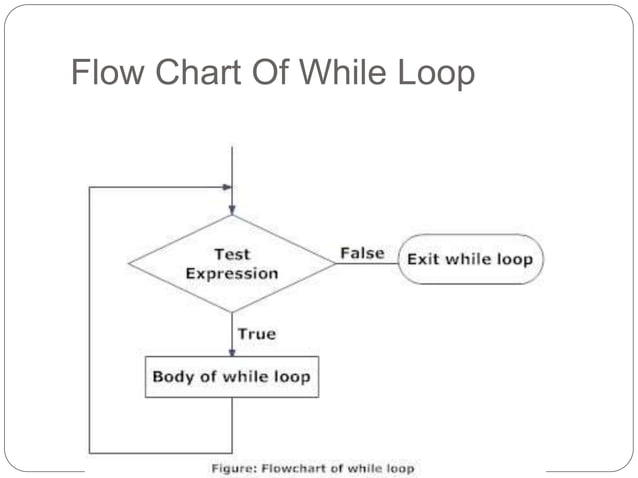 C decision making and looping. | PPTX | Programming Languages | Computing