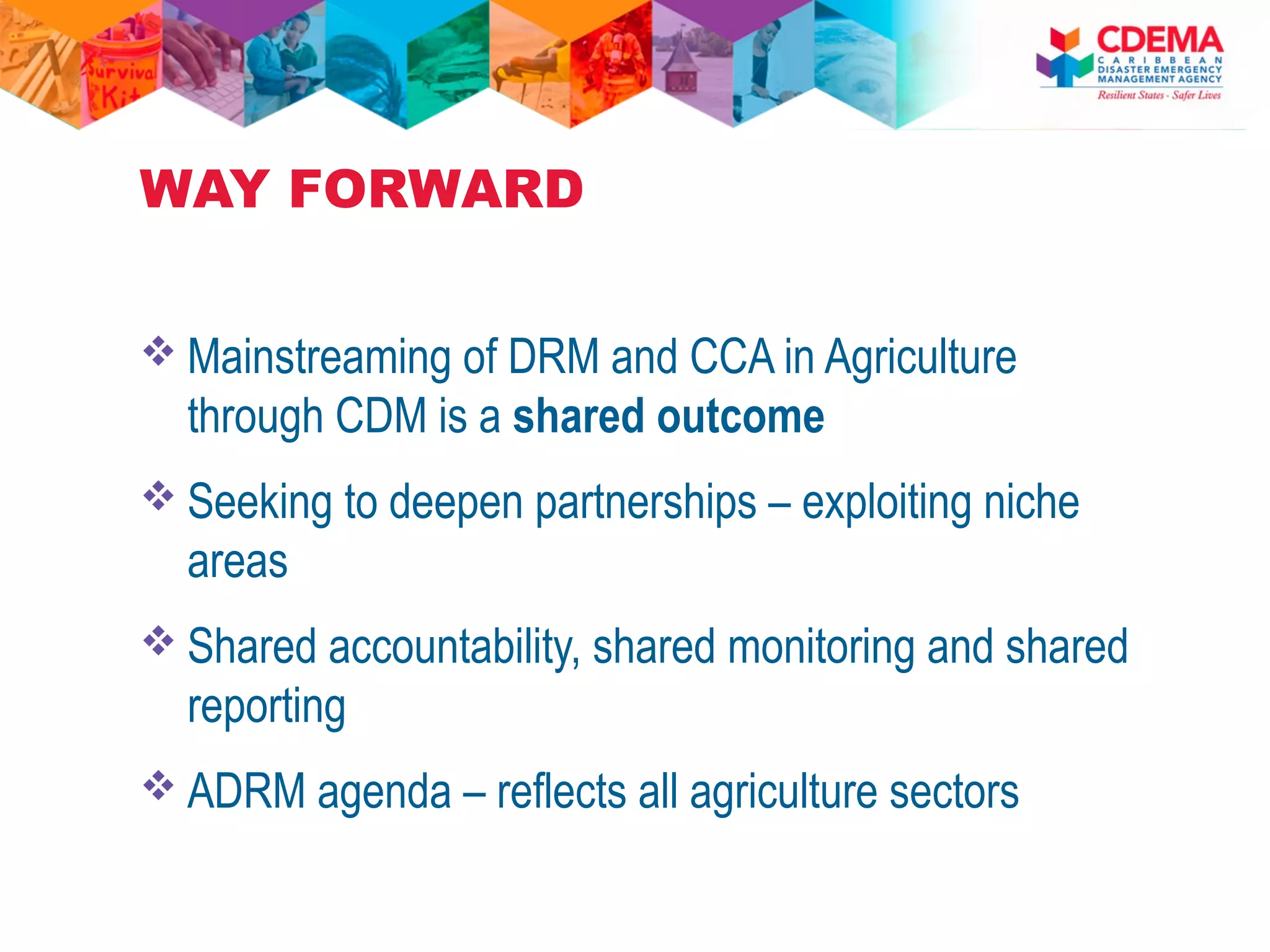 CDEMA regional mechanism for DRM in the Caribbean | PPT