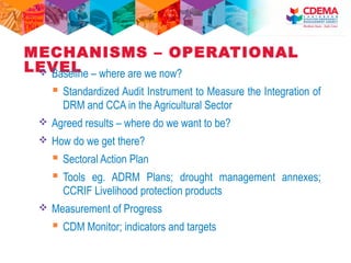 CDEMA regional mechanism for DRM in the Caribbean | PPT