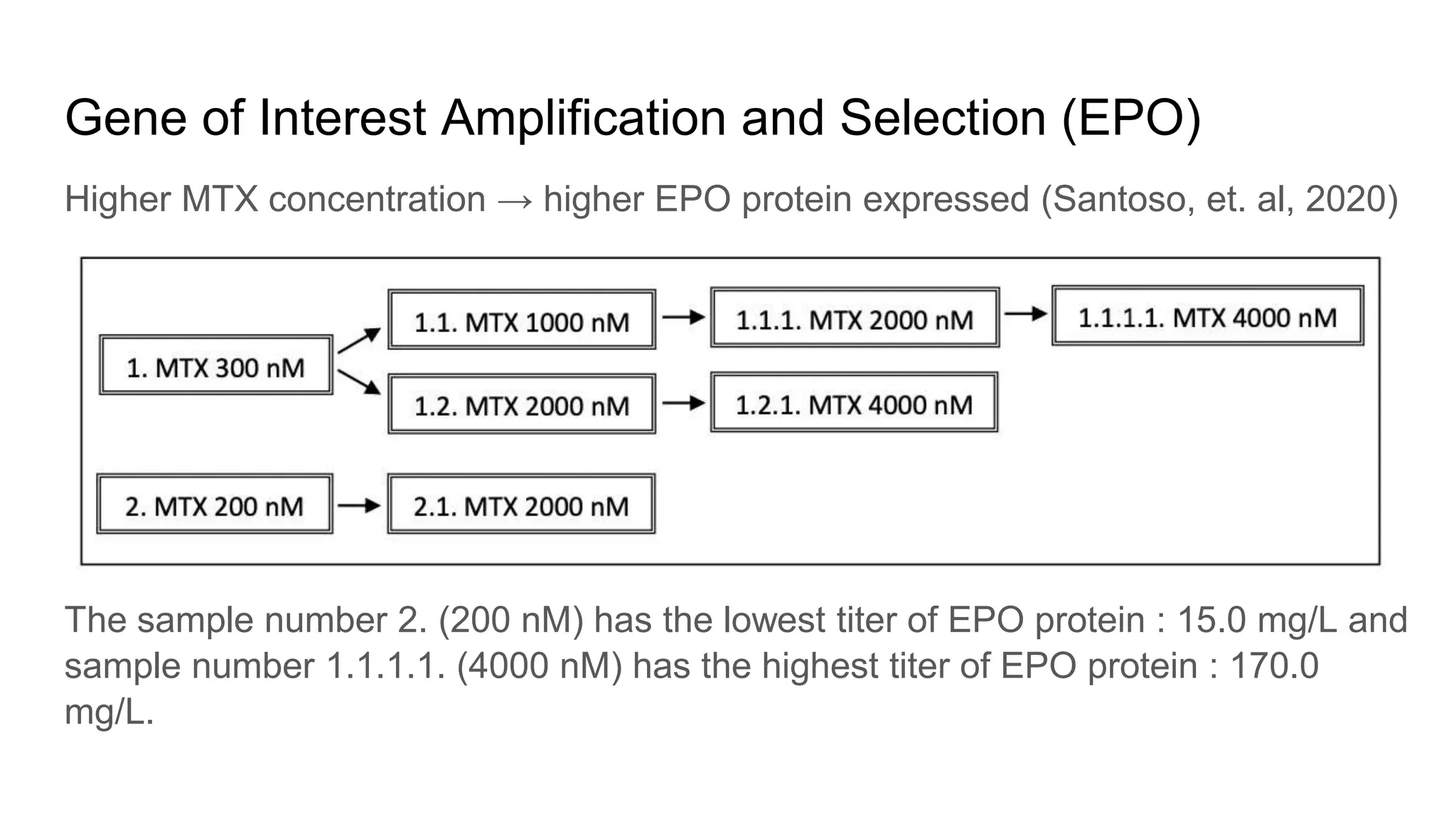 CD EPO.pptx