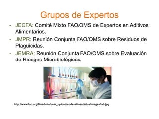 Códex alimentarius | PPSX