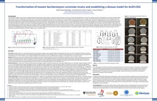 Cdg alg9 tj marrie research day poster: | PPT
