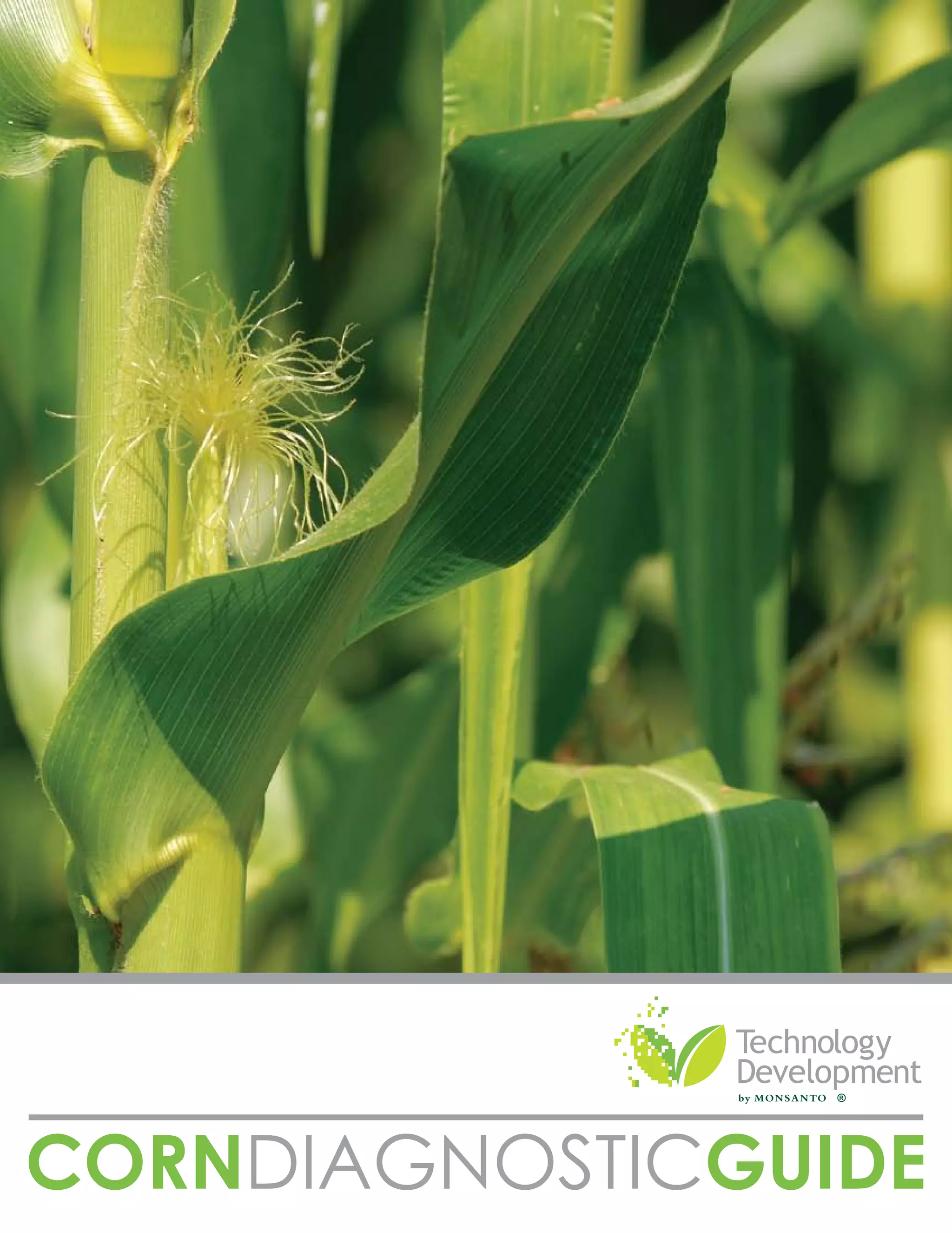 Cdg final t_dversion2 | PDF