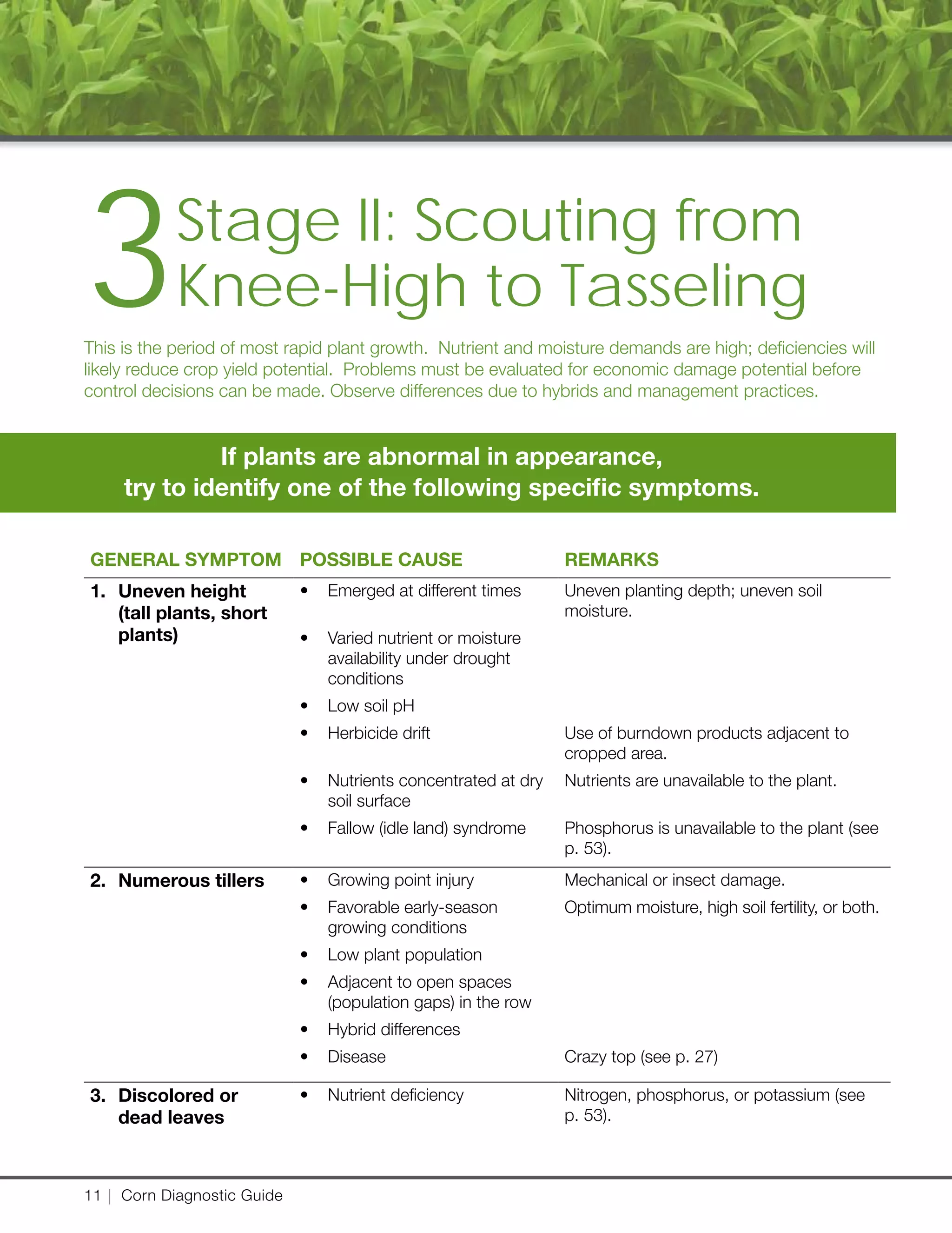 Cdg final t_dversion2 | PDF