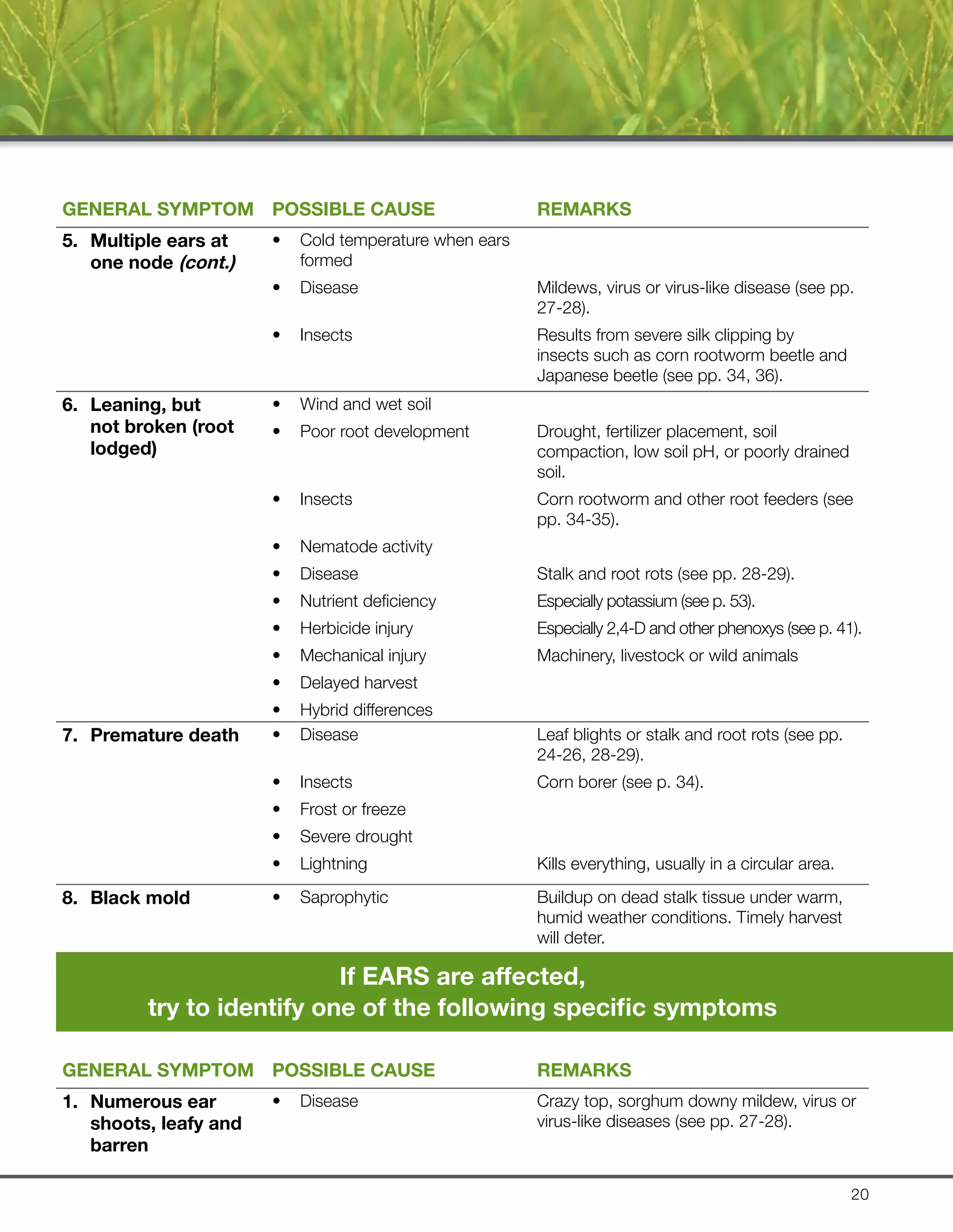 Cdg final t_dversion2 | PDF