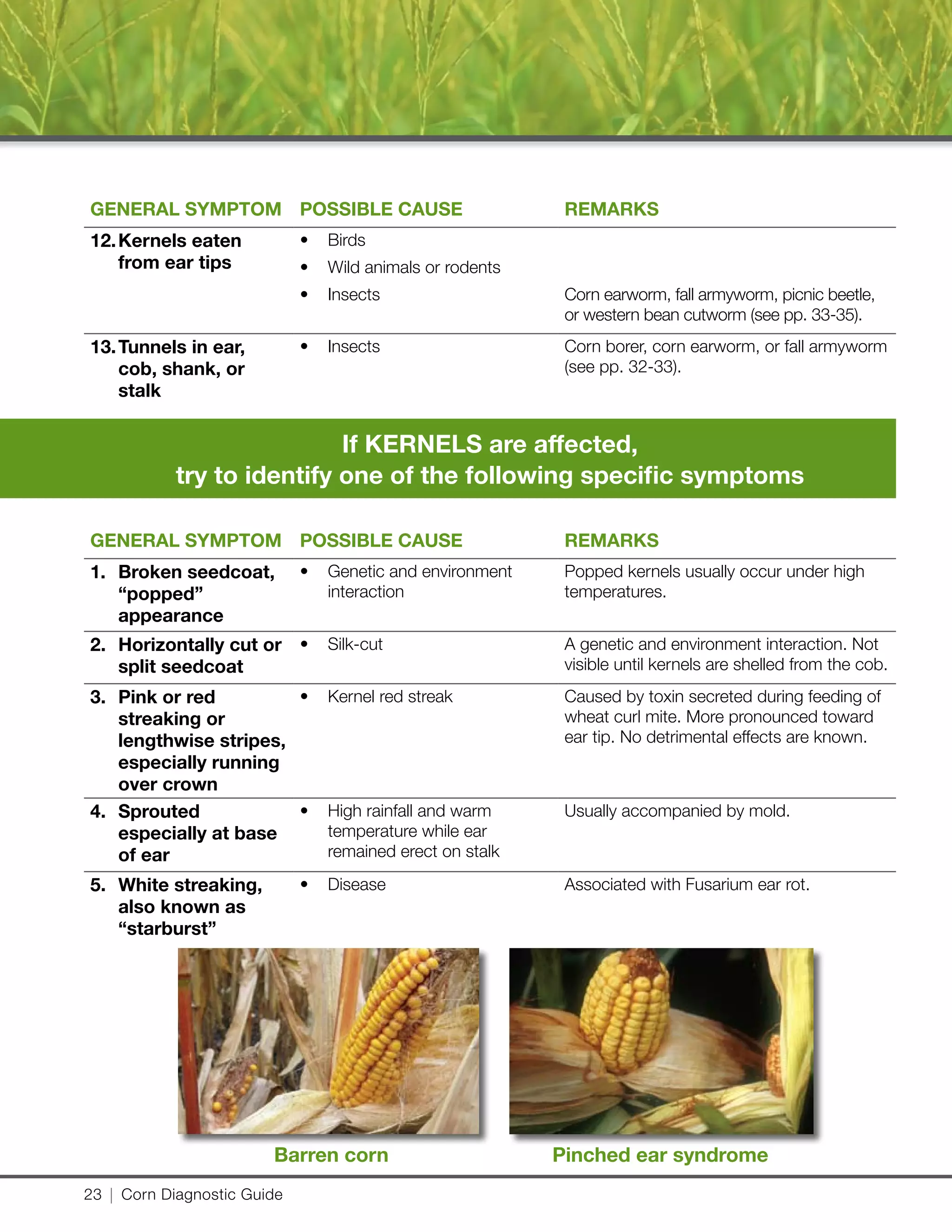 Cdg final t_dversion2 | PDF