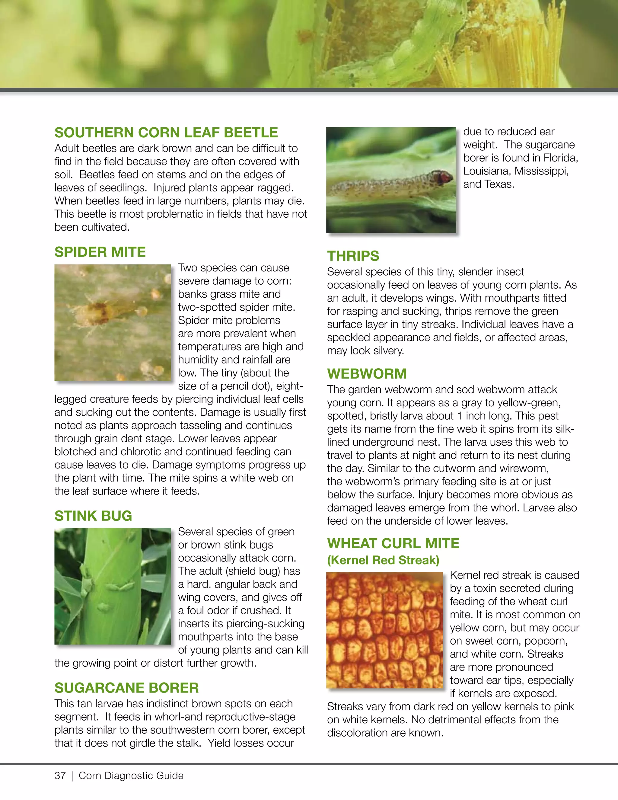 Cdg final t_dversion2 | PDF