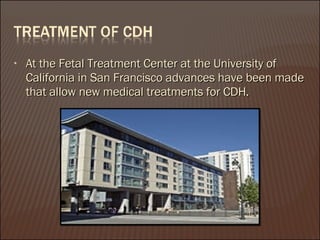 cdh | PPT