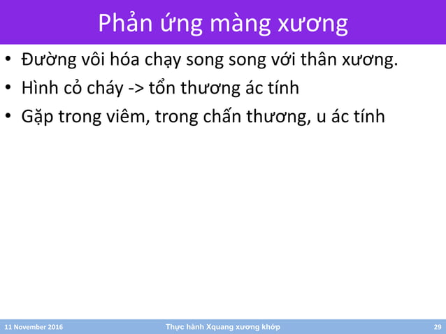 Thực hành X quang xương khớp | PDF
