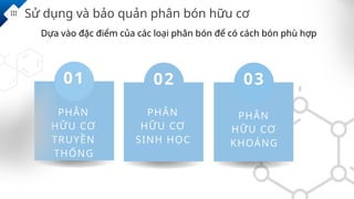 cd hoa (nhom tren).ầhfrdtfjgjgjyhhbjhpptx | PPT
