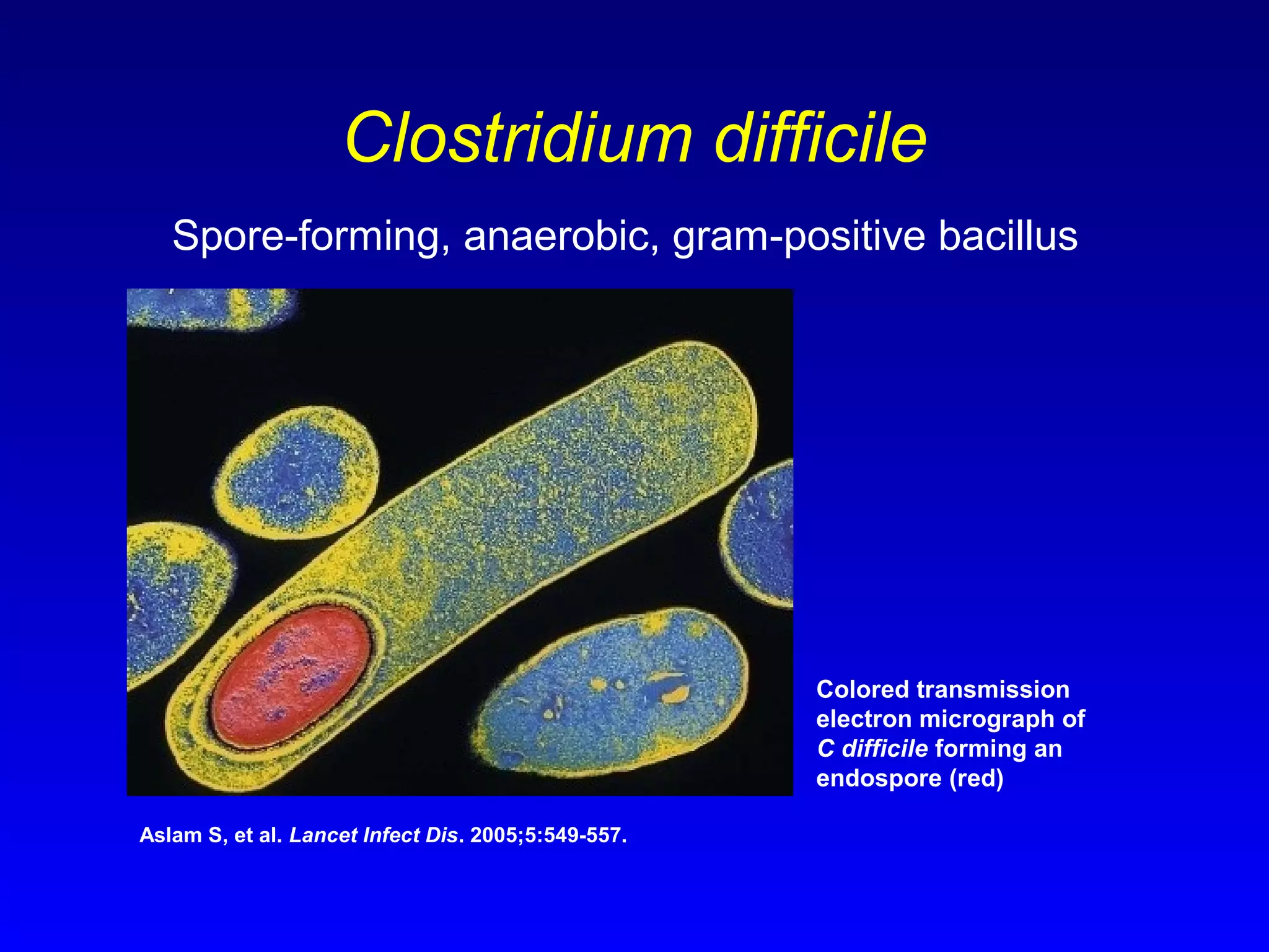Clostridium difficile: C. diff is more difficult than ever ...