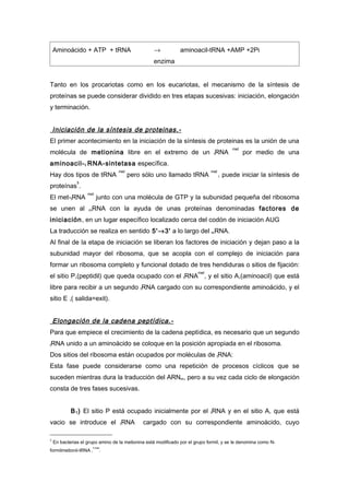 Código genético y traducción | DOC