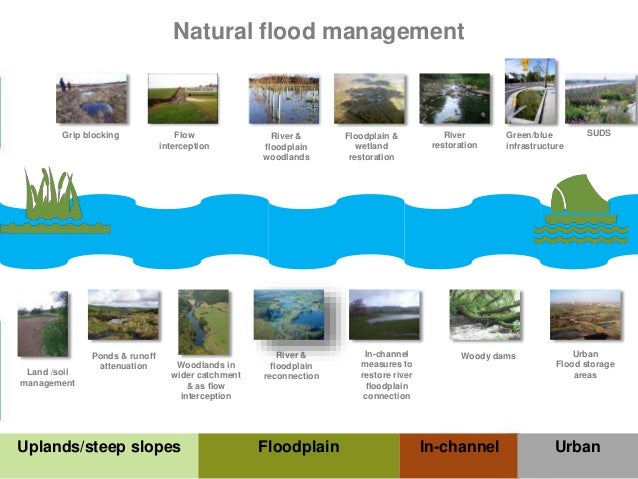 Natural Flood Management Strategic Development