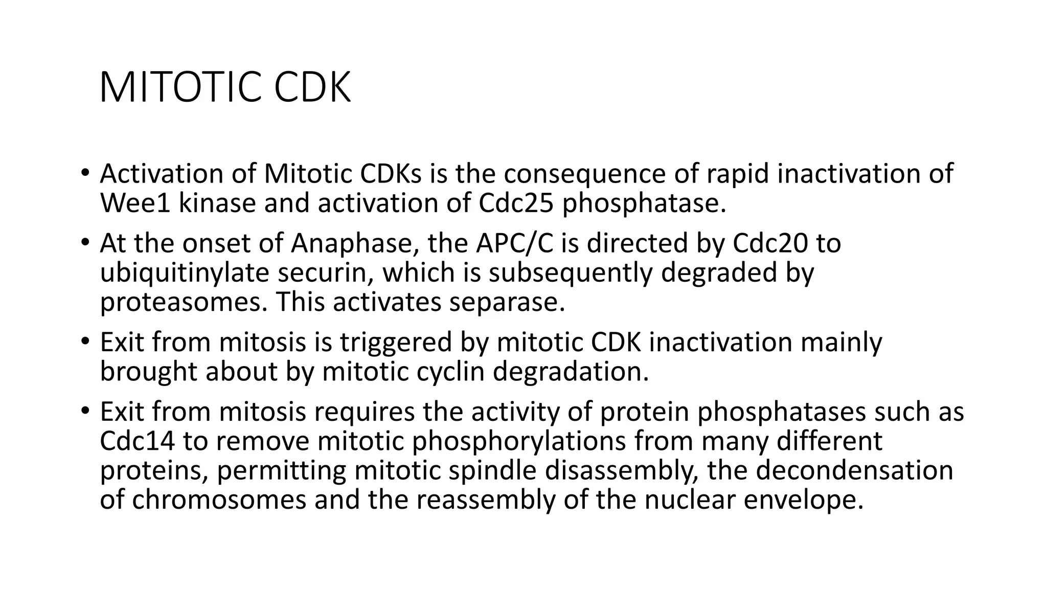 Cdk | PPTX