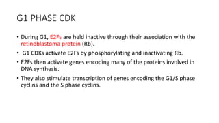Cdk | PPTX | Endocrine and Metabolic Diseases | Diseases and Conditions