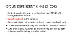 Cdk | PPTX | Endocrine and Metabolic Diseases | Diseases and Conditions