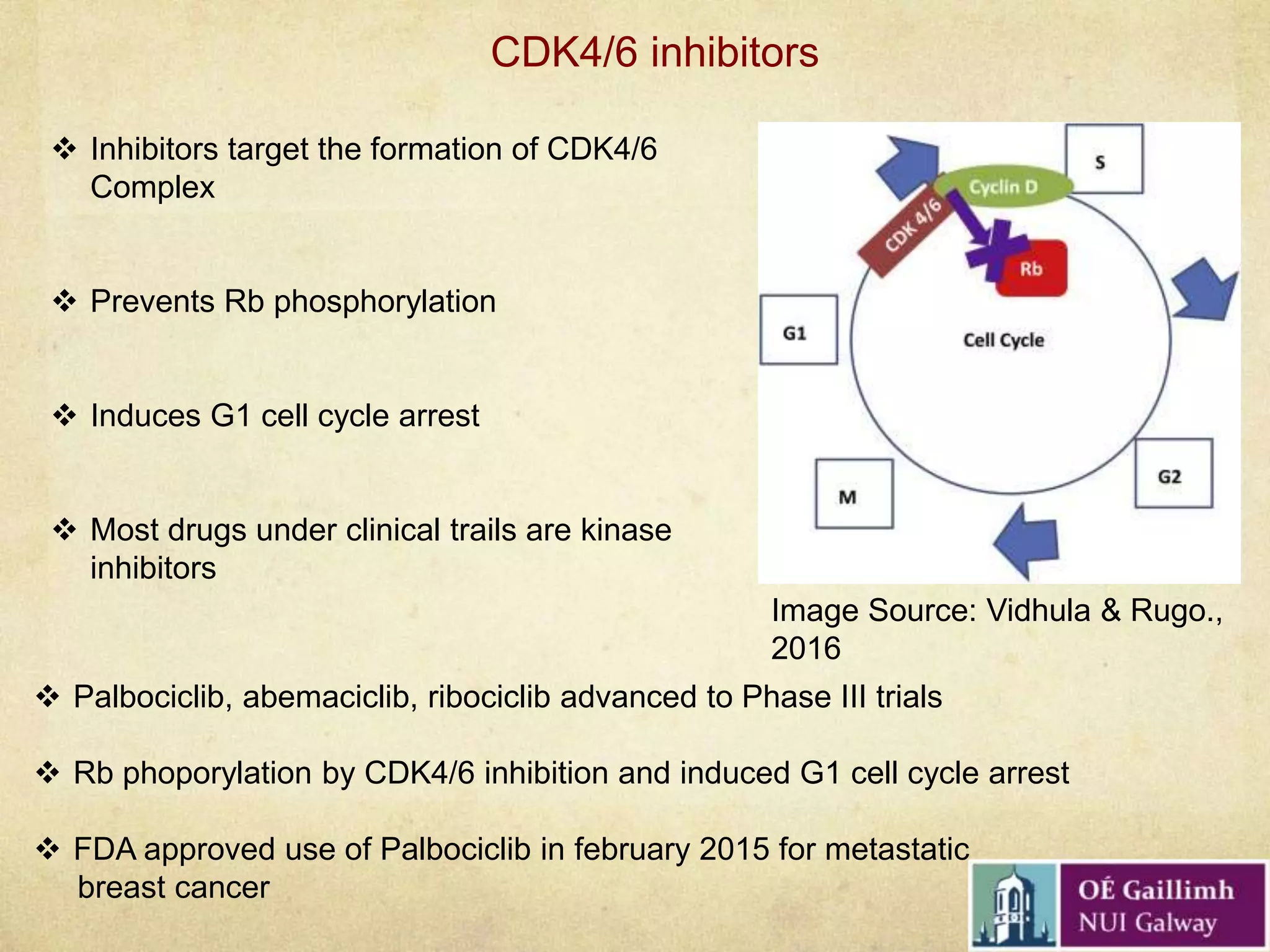 Cdk inhibitors as new target for cancer treatment. | PPTX