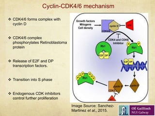 Cdk inhibitors as new target for cancer treatment. | PPTX