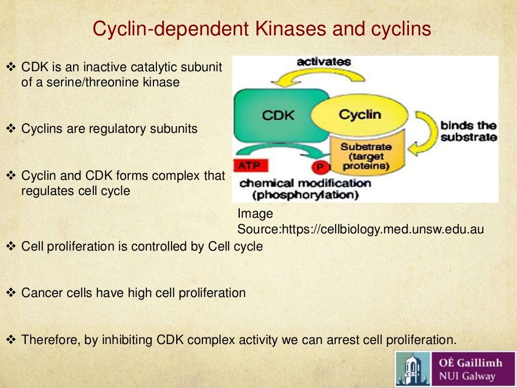 Cdk inhibitors as new target for cancer treatment.