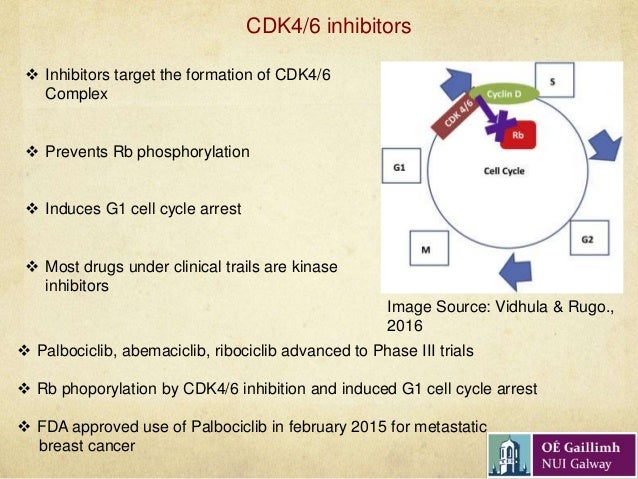 Cdk inhibitors as new target for cancer treatment.