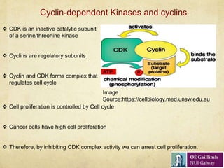 Cdk inhibitors as new targets for cancer treatment. | PPTX