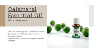 Casa de Lorenzo Profile Slides | PDF