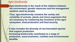 biodiversity crop | PPT