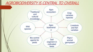 biodiversity crop | PPTX