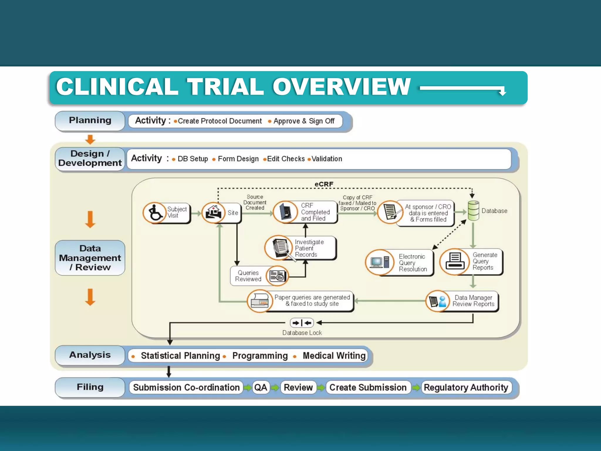 Clinical Data Management | PDF