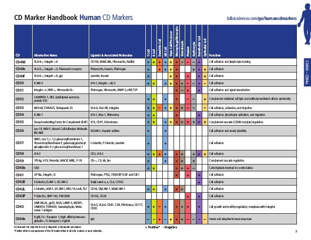 Cd marker handbook