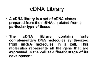 C dna | PPT
