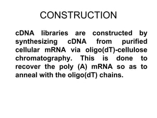 C dna | PPT